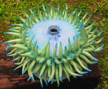 Frances Doherty - Artwork