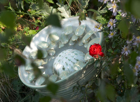 Frances Doherty - Artwork