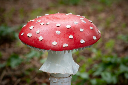 Frances Doherty - Artwork