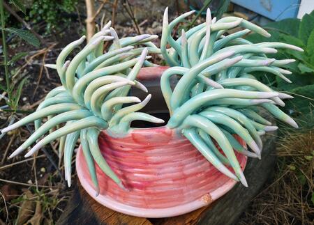 Frances Doherty - Artwork