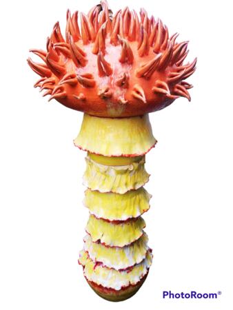 Frances Doherty - Artwork