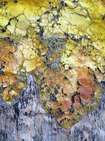 Sue Hotchkis - Artwork